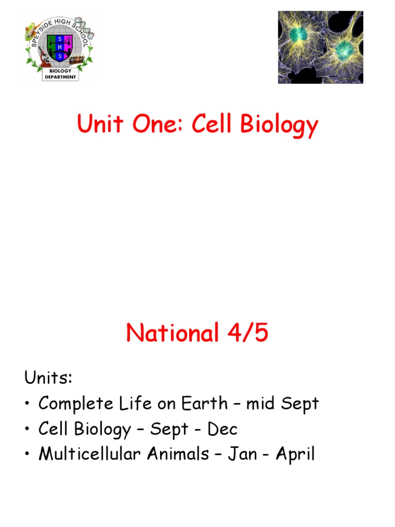 Unit One: Cell Biology | PDF | Cell (Biology) | Dna