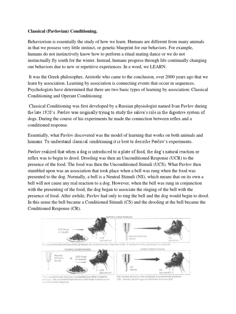 Pavlovs Classical Conditioning | PDF | Classical Conditioning | Clinical Psychology