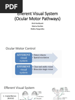 Brightness Acuity Test | PDF | Visual Acuity | Cataract