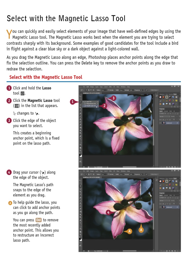 Select With The Magnetic Lasso Tool | PDF
