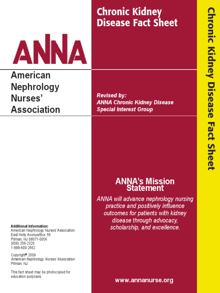 CKD Sheet | PDF | Chronic Kidney Disease | Renal Function
