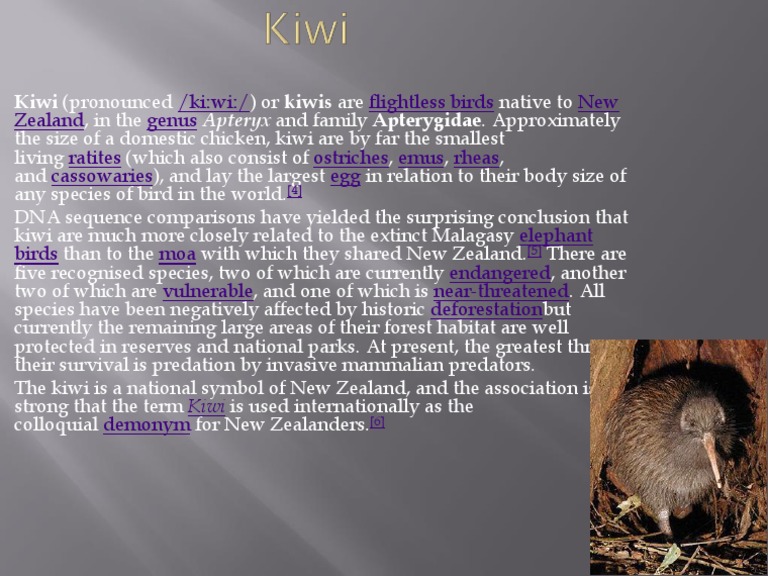 Apteryx and Family Apterygidae. Approximately: Kiwi (Pronounced | PDF