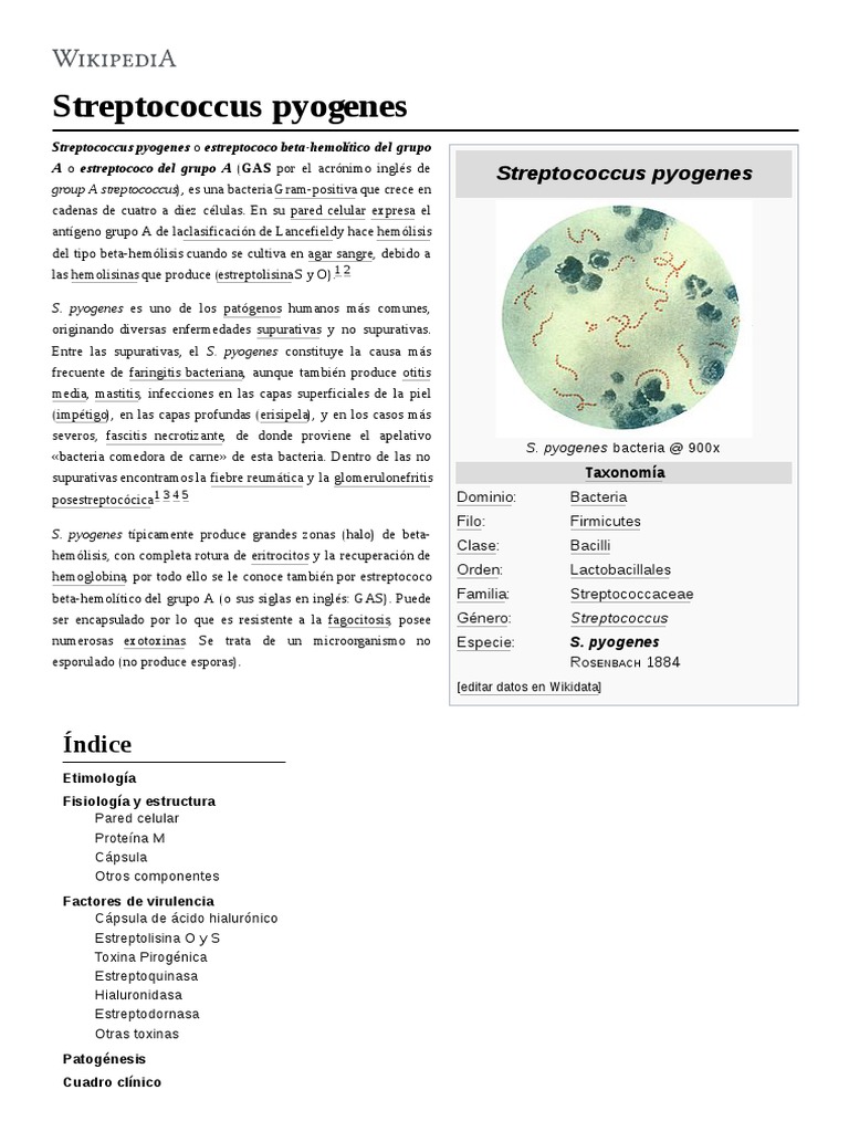 Streptococcus Pyogenes | Inmunología | Especialidades Medicas