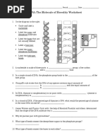 Cell Structure and Function Quiz Questions and Answers | PDF ...
