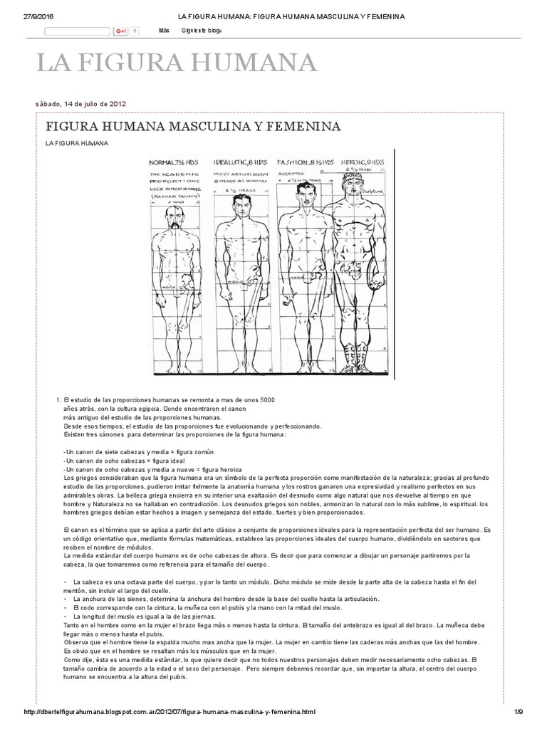 La Figura Humana Figura Humana Masculina Y Femenina Pdf Homo
