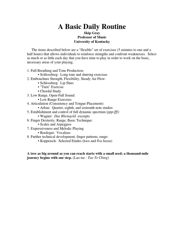 A Basic Dailyroutine | PDF