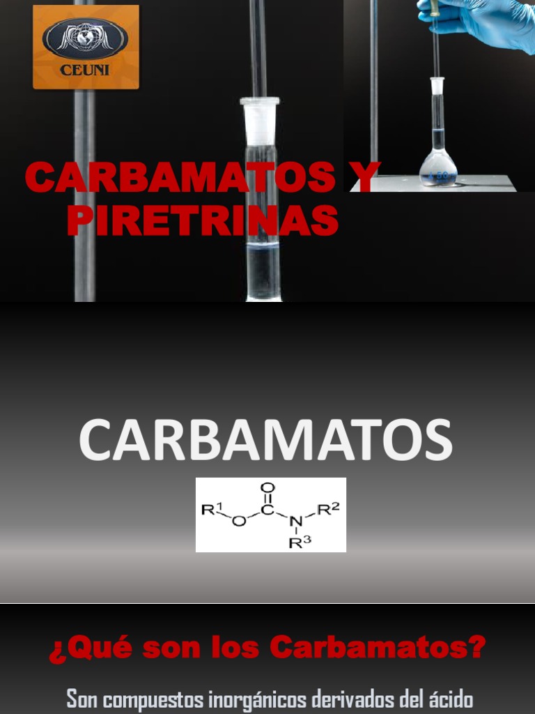 Carbamatos y Piretrinas | PDF | Química | Productos quimicos