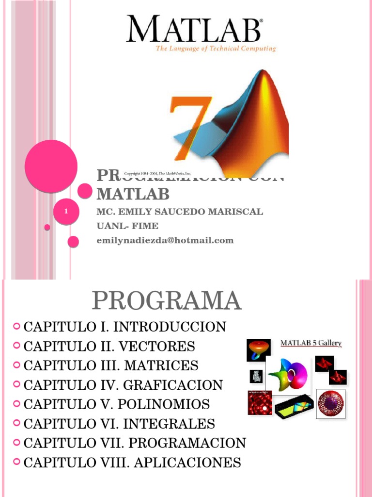 Introduccion Matlab | PDF | Matriz (Matemáticas) | Integral