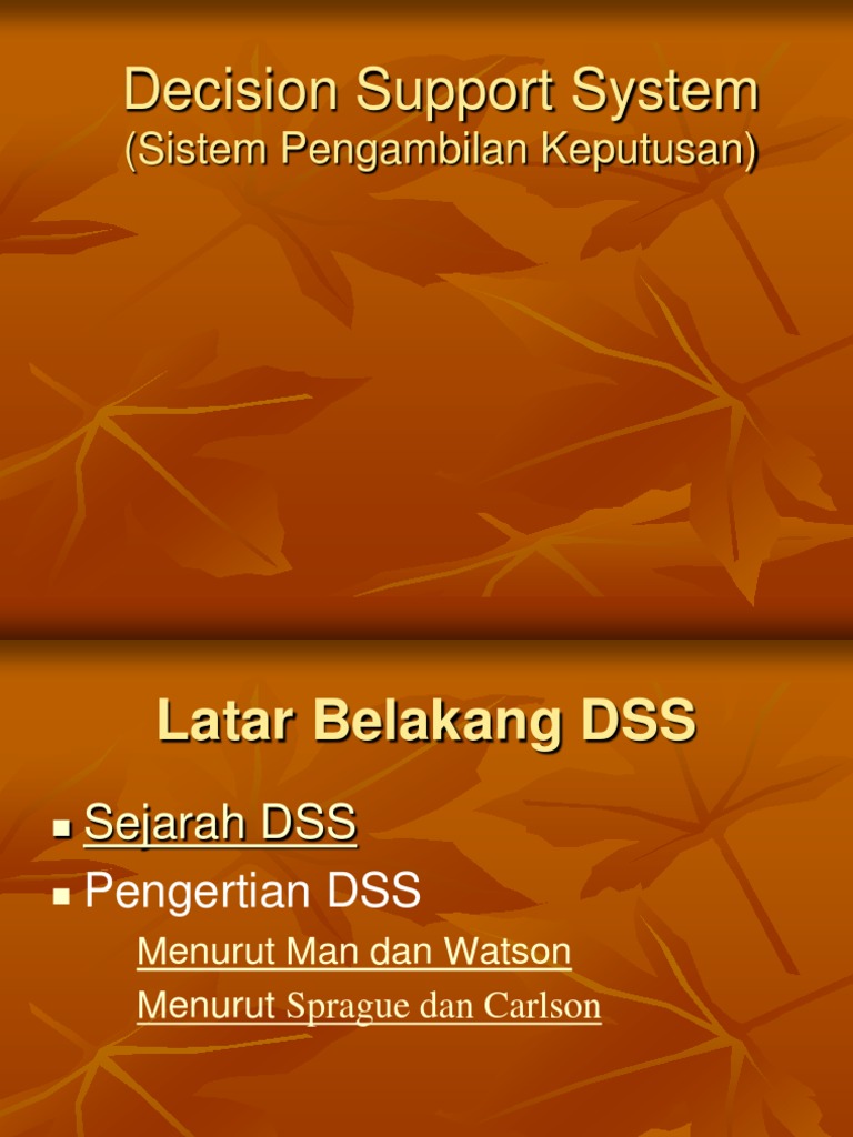 Arsitektur Dss | PDF