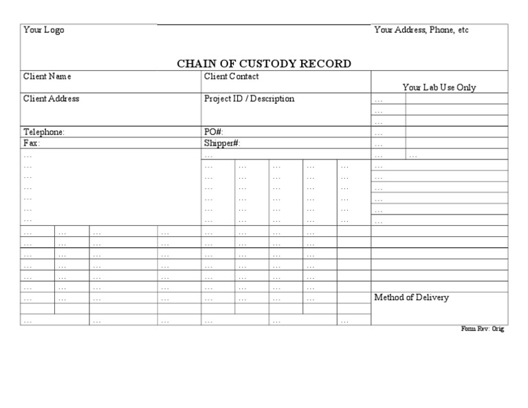 Chain of Custody Record: Form Rev: Orig | PDF