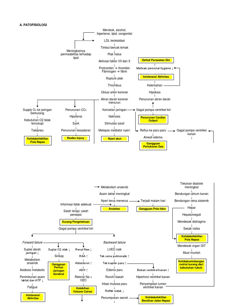 Patofisiologi Stemi | PDF