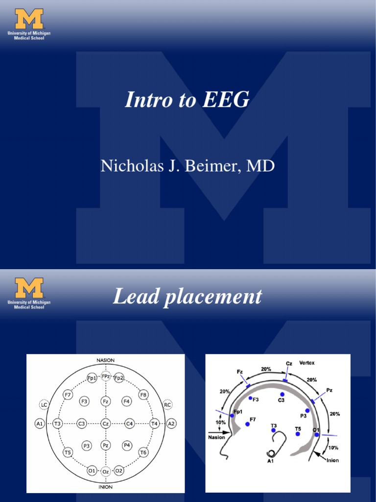Intro To EEG | PDF | Electroencephalography | Neuroimaging