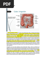 Anatomía de la Vaina de los Rectos | PDF | Abdomen | Anatomía