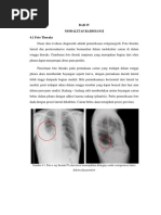 Anatomi Thorax Normal + Gambaran Radiologi | PDF