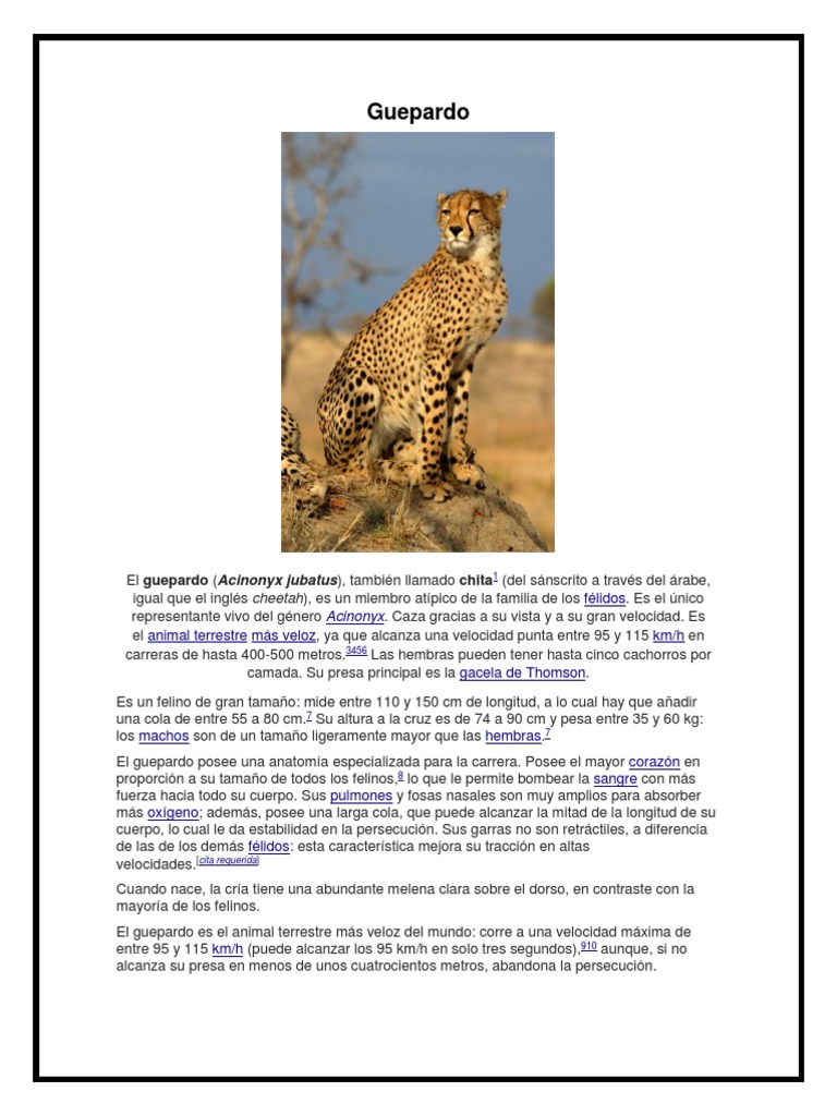 Gue Pardo | PDF | Felinos | Gatos