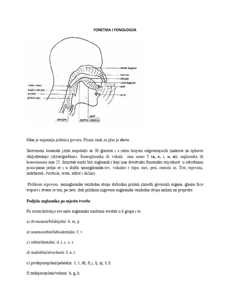 Fonetika I Fonologija | PDF