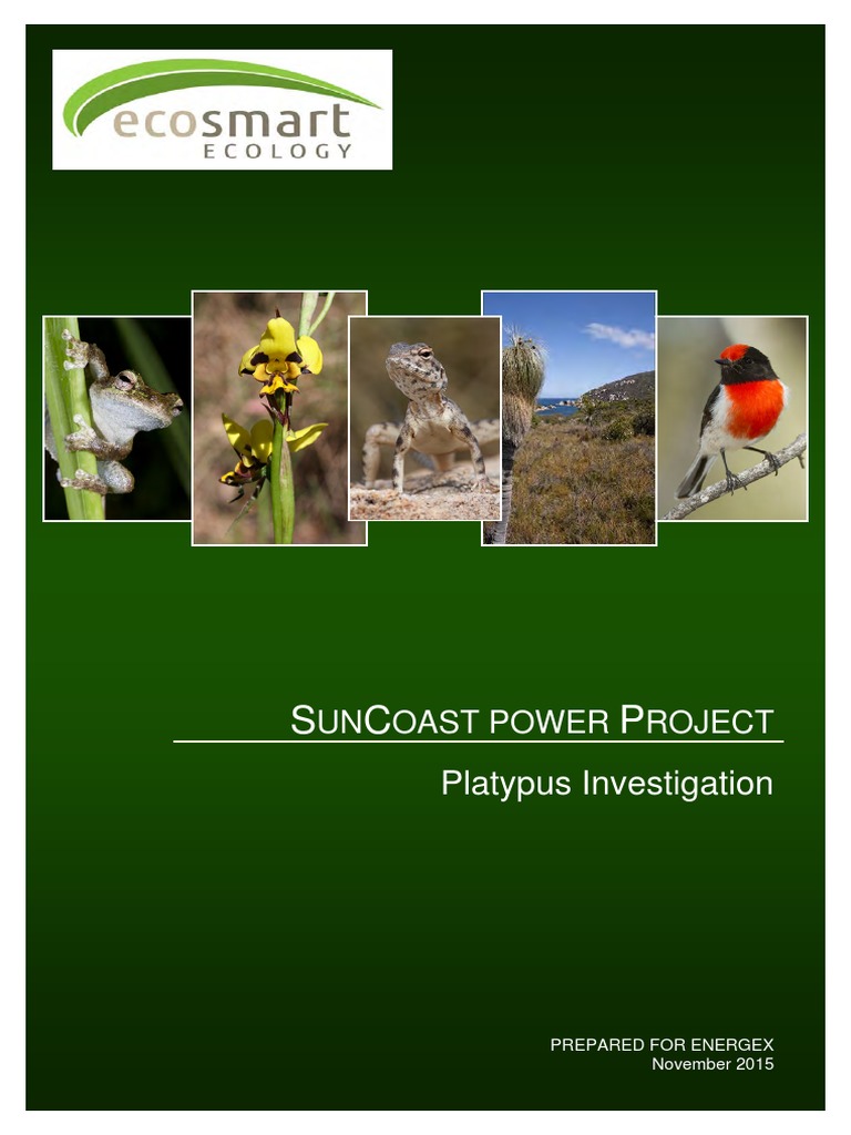 SunCoast Project Platypus Investigation Report | PDF | Stream | Habitat