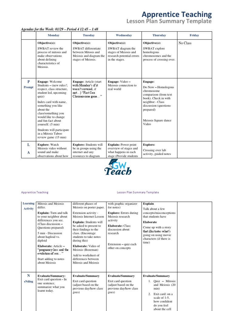 Apprentice Teaching: Lesson Plan Summary Template | PDF | Meiosis ...