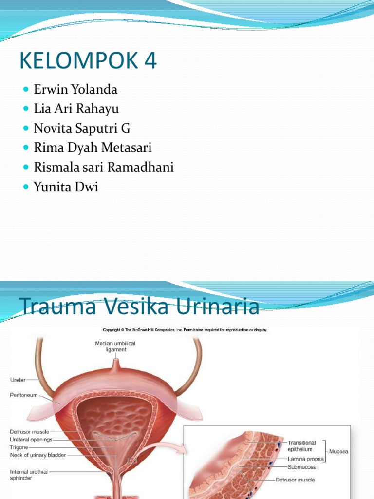 TVU Trauma Vesika Urinaria | PDF | Sains & Matematika