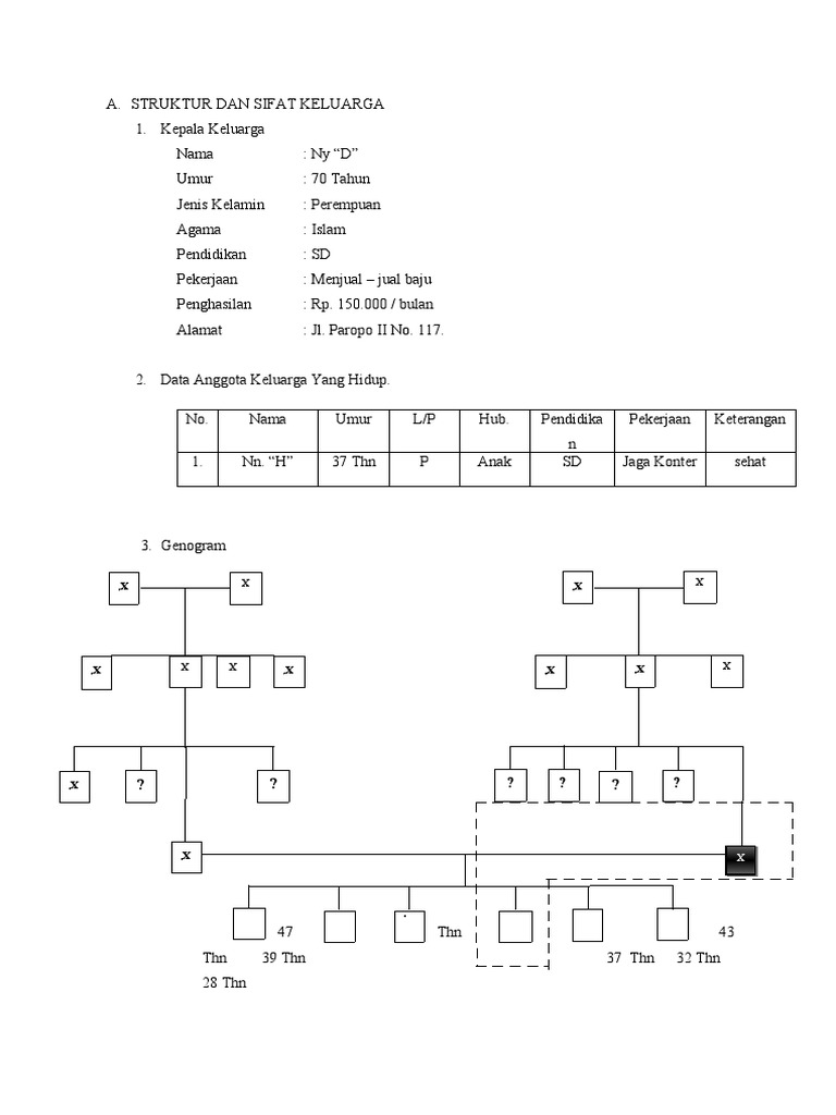 Contoh Genogram Keluarga Janda | PDF