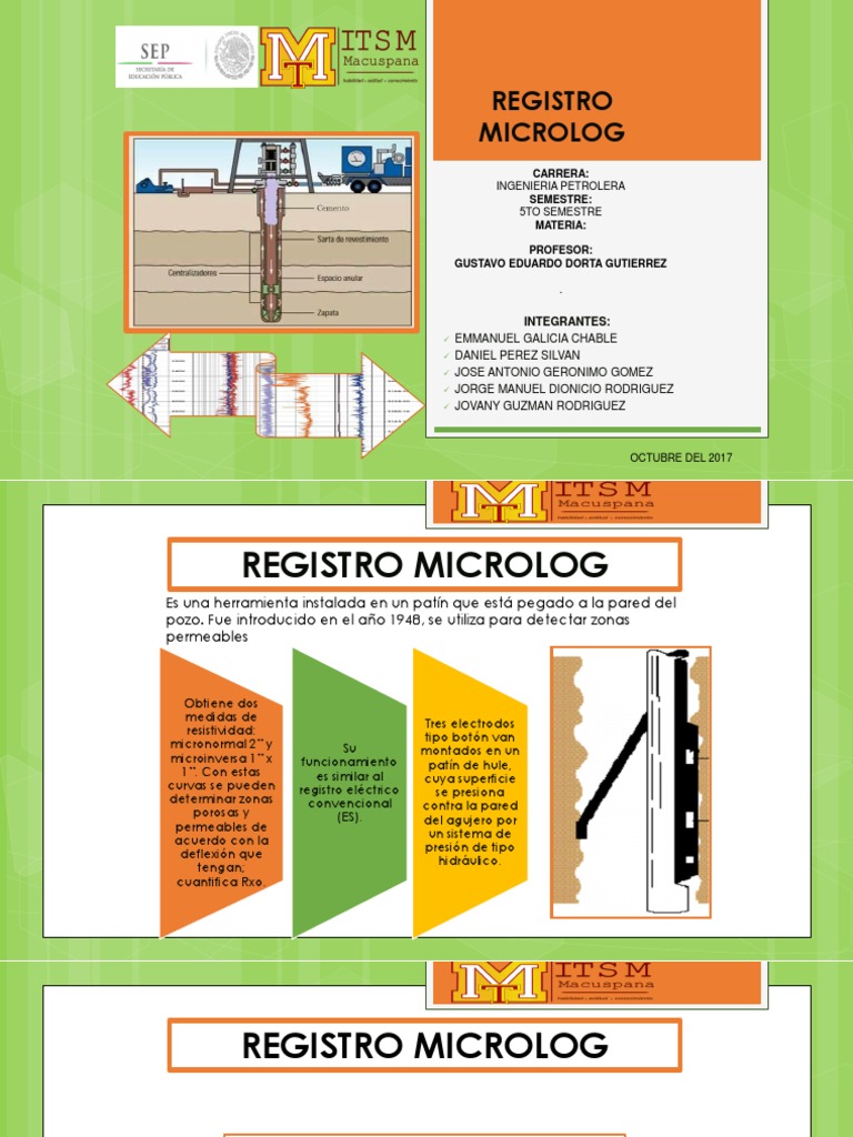 Registro Microlog | PDF