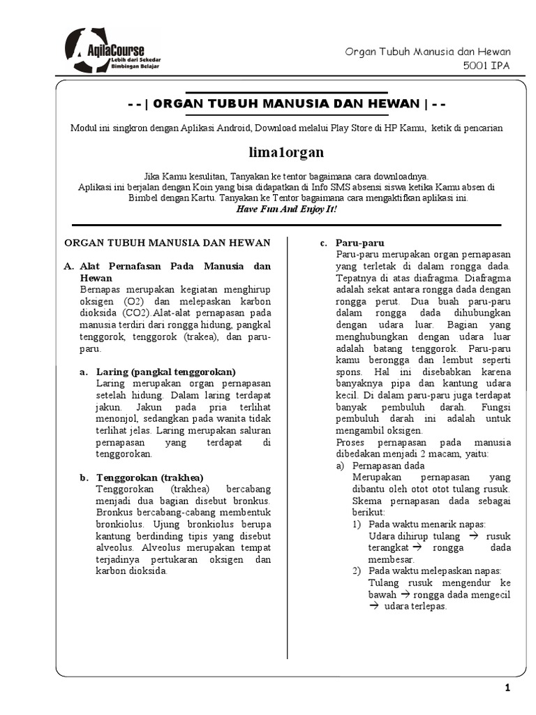 Modul Bimbel Kelas 5 KTSP 5001 IPA Bab 1 Organ Tubuh Manusia Dan Hewan ...