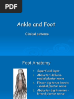 Glossary of Podiatry Terms | PDF | Toe | Foot