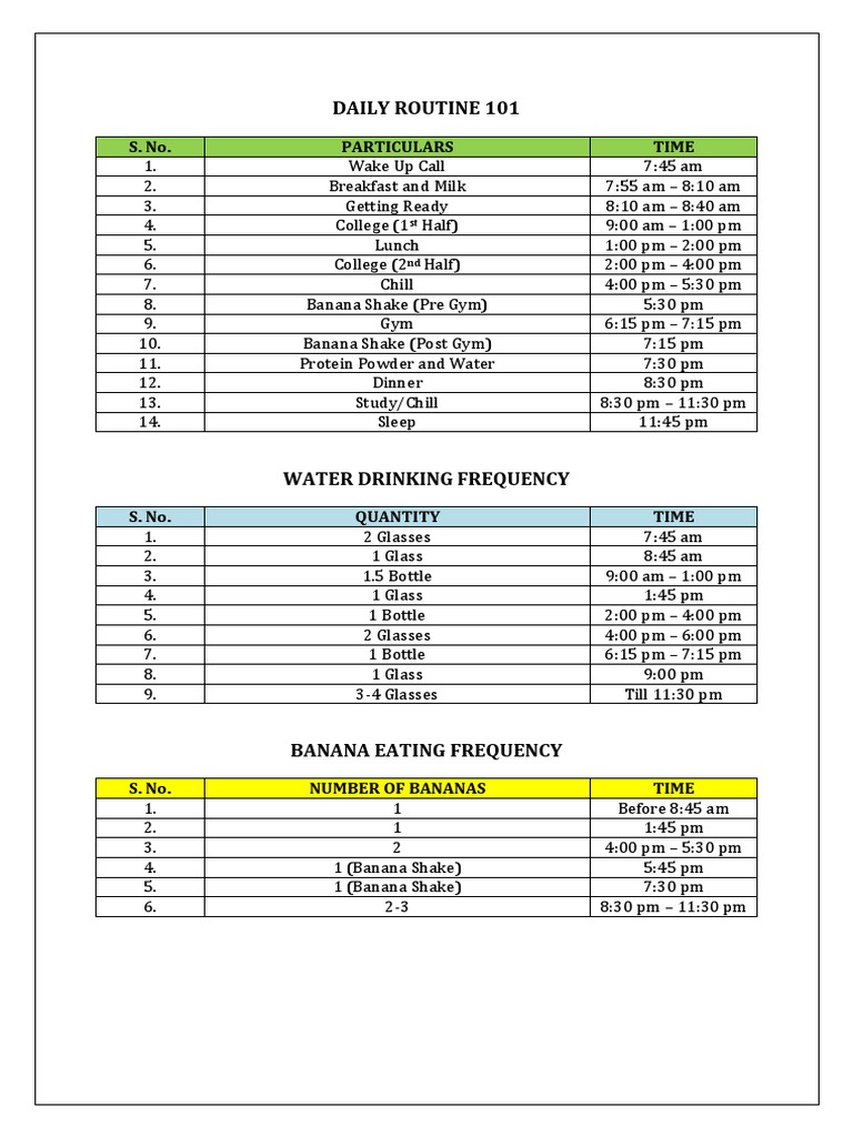 Daily routine and diet plan | PDF