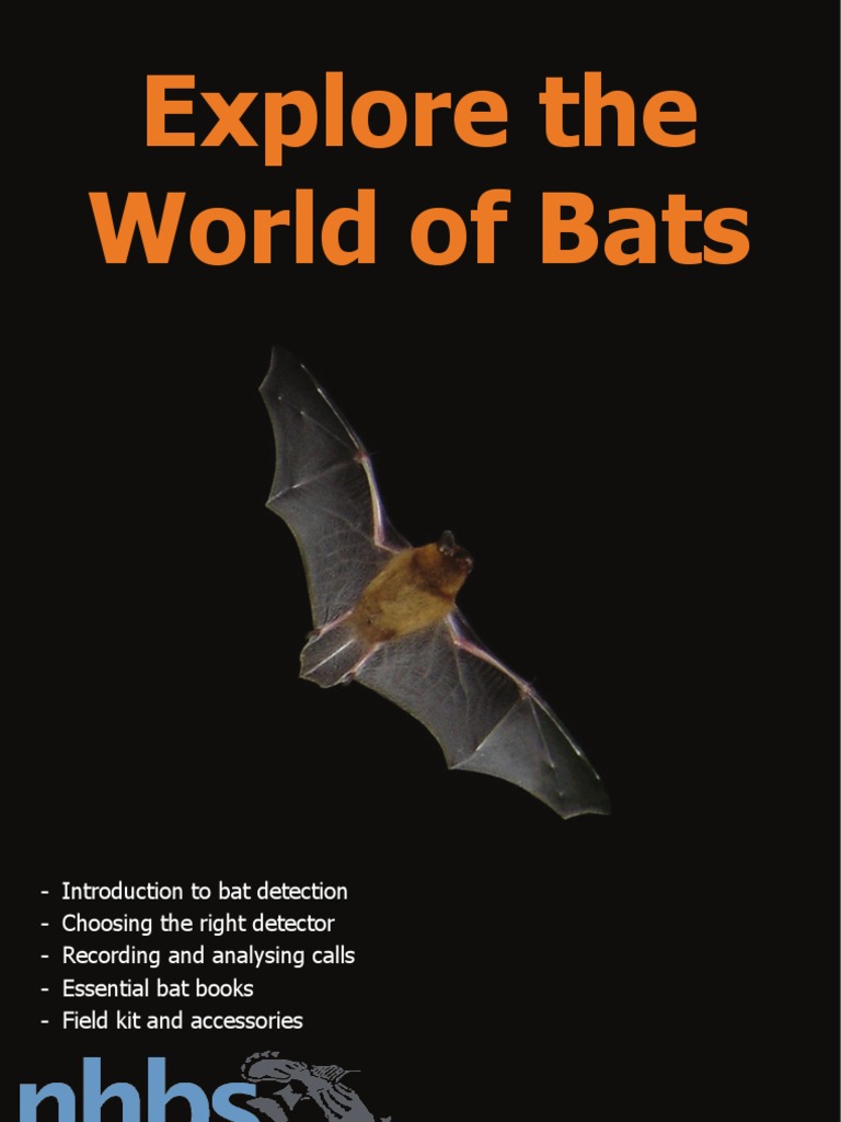Nhbs Explore The World Of Bats Pdf Electronics Signal Processing