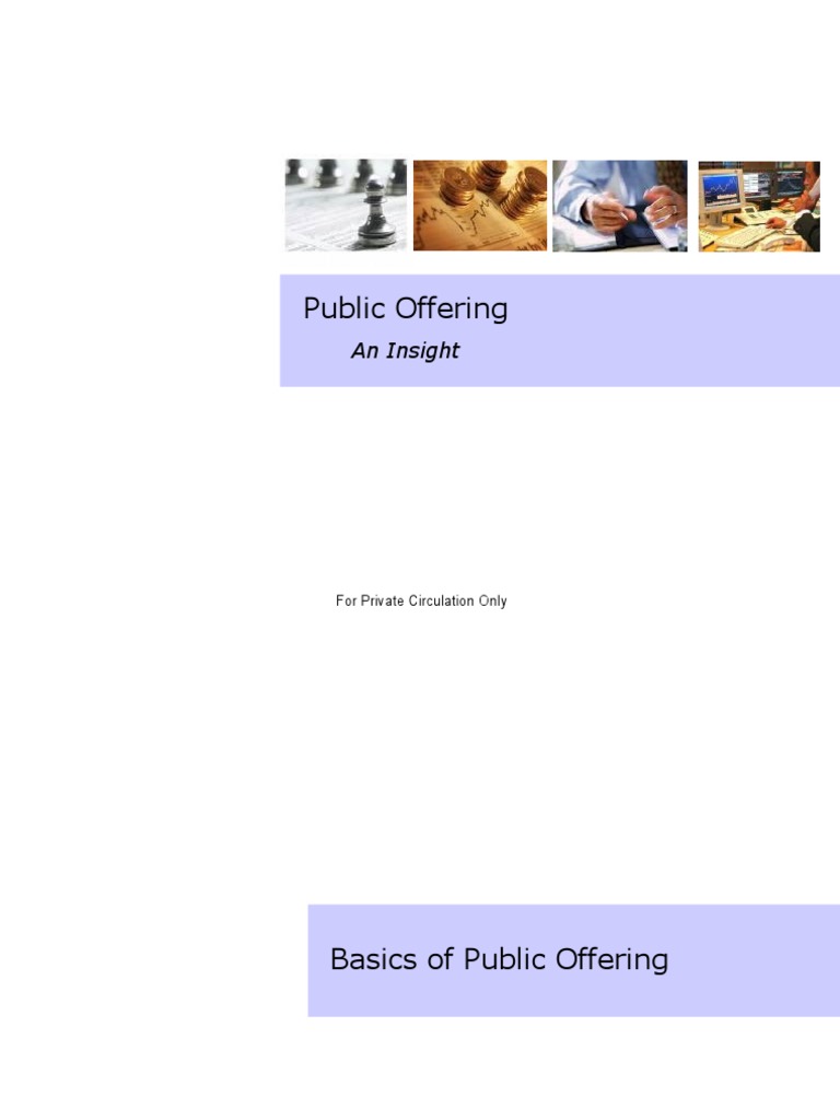 Understanding Public Offerings Explained | PDF | Initial Public ...