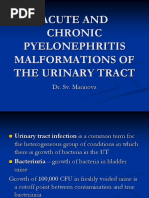 UTD Classification for Radiologists | PDF | Radiology | Urology