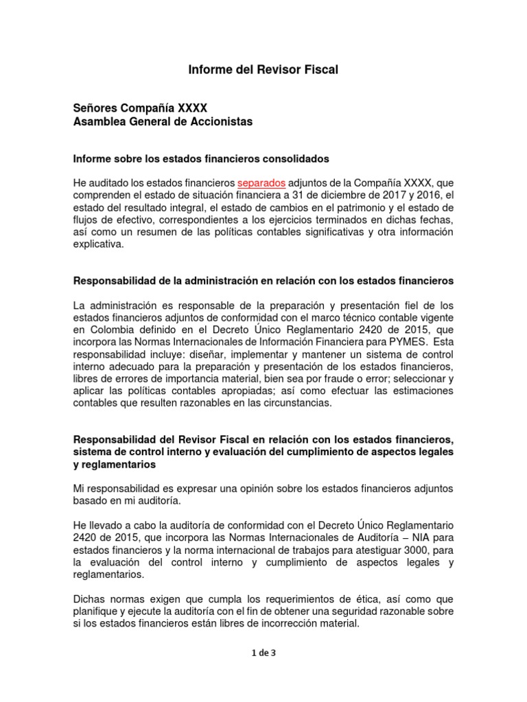 Informe Del Revisor Fiscal Auditoría Financiera Contabilidad