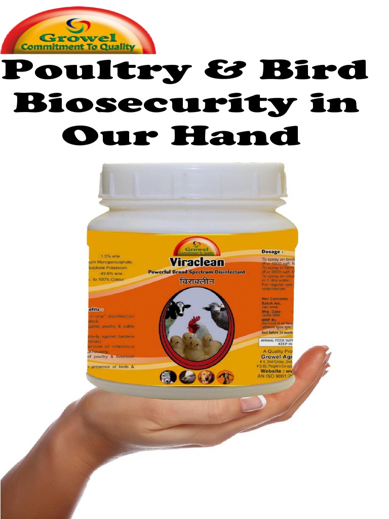 Poultry & Bird Biosecurity in Our Hand | PDF | Avian Influenza | Influenza