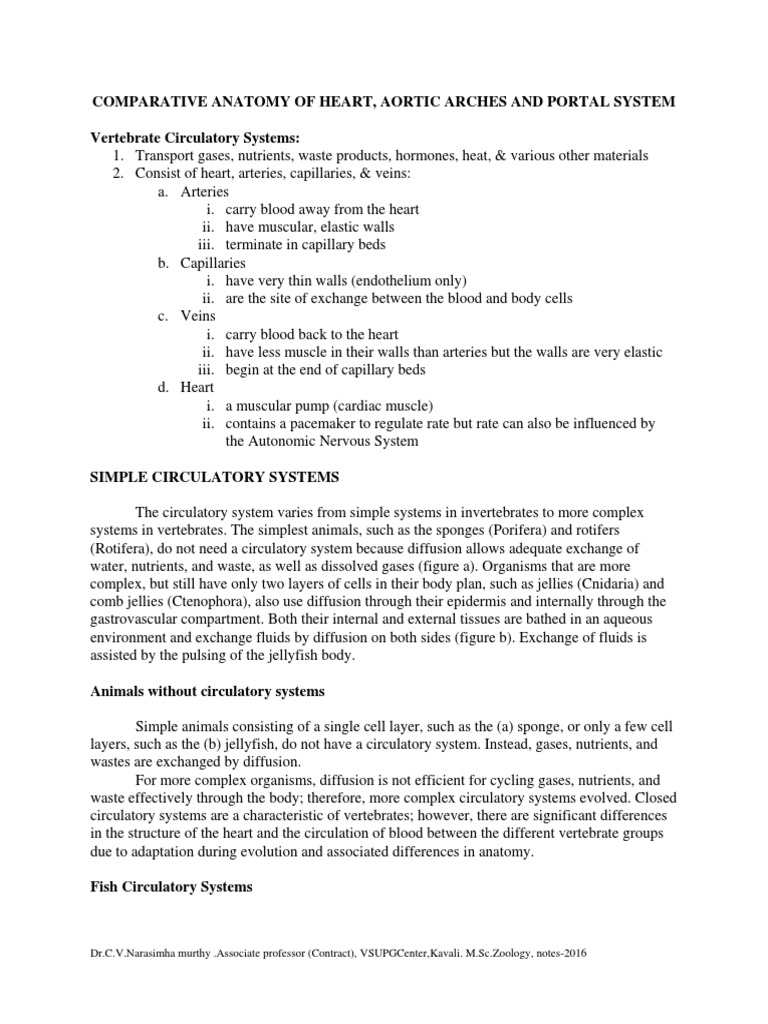Comparative Anatomy of Heart, Circulation Aortic Arches Etc | PDF ...