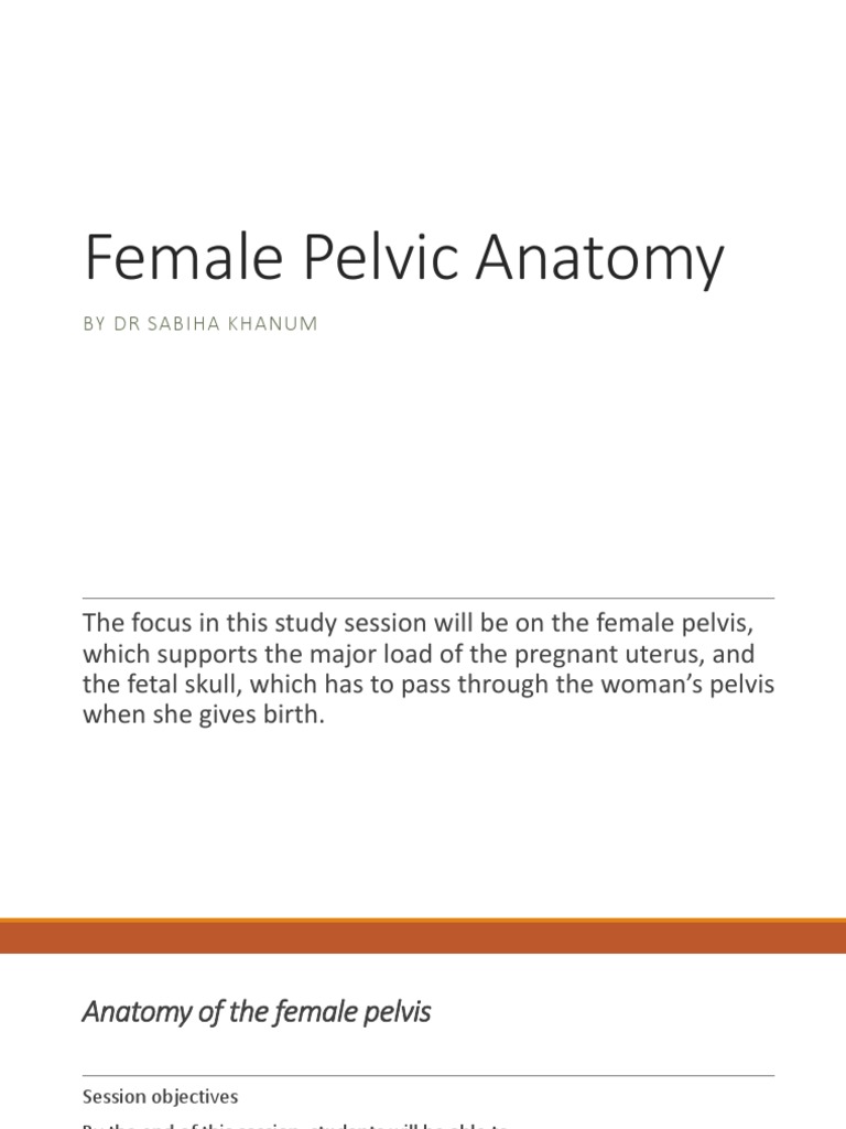 Female Pelvic Anatomy Overview | PDF | Pelvis | Vertebral Column