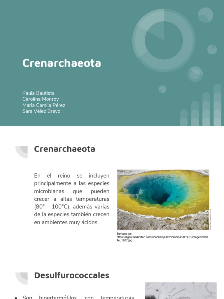 Crenarchaeota