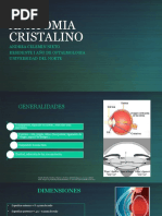 Cápsula de Tenon: Anatomía y Tenonitis | PDF | Ojo humano | Ojo