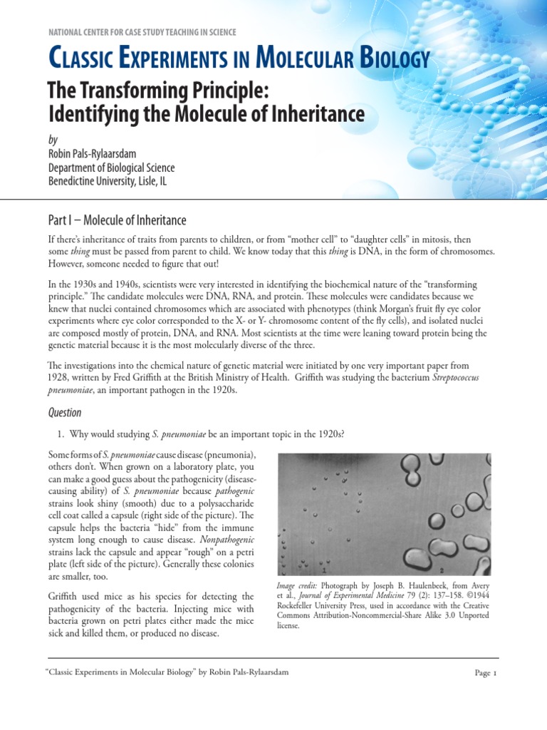 Mol Bio Classics PDF | PDF | Genetics | Dna
