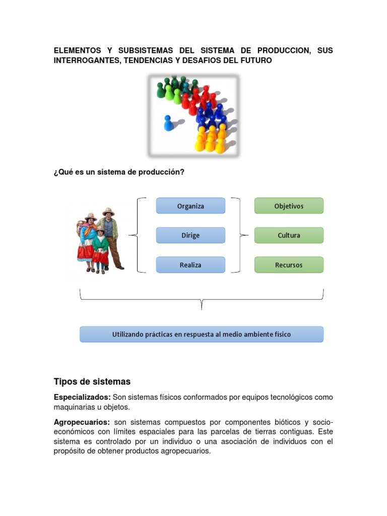Elementos y Subsistemas Del Sistema de Produccion | PDF | Science ...