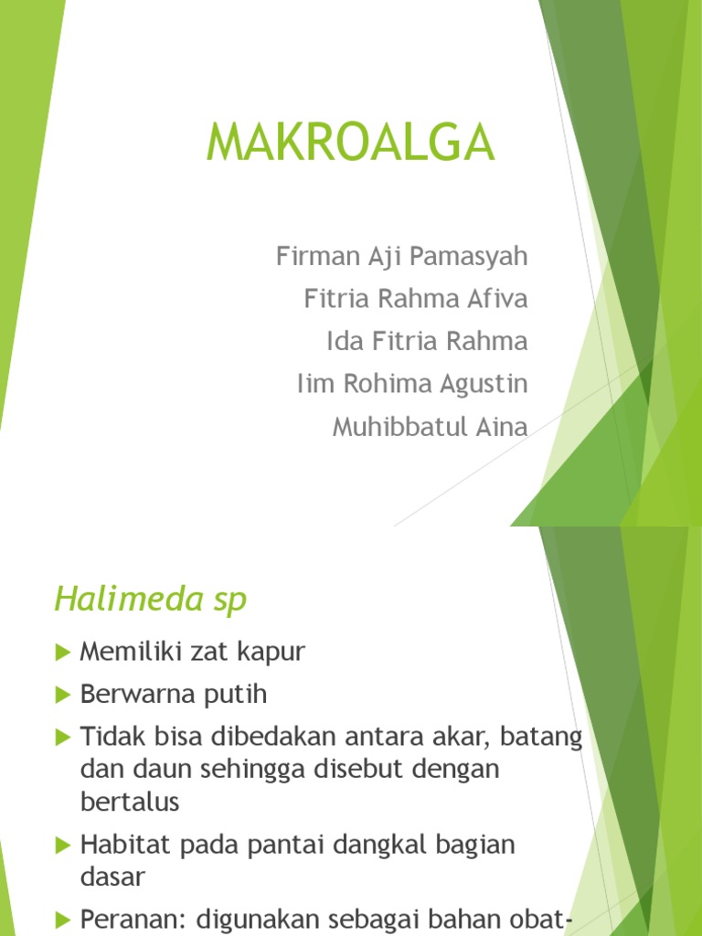 Makro Alga | PDF