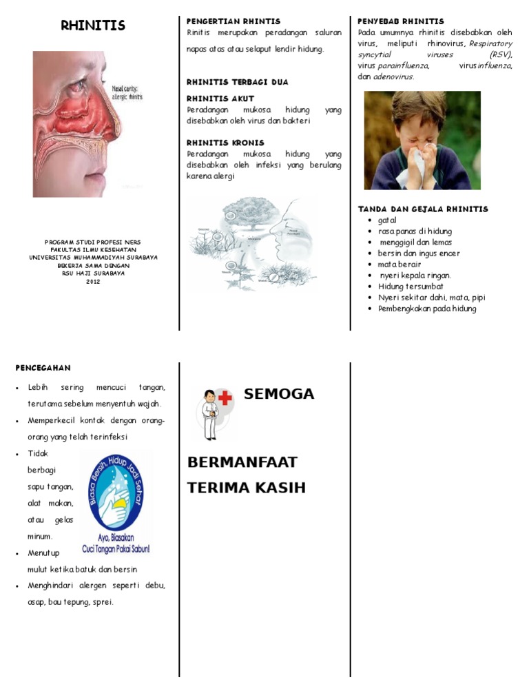 Panduan Singkat Rhinitis | PDF