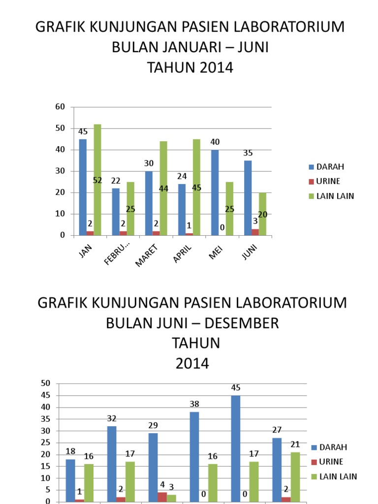 Grafik Kunjungan Lab | PDF