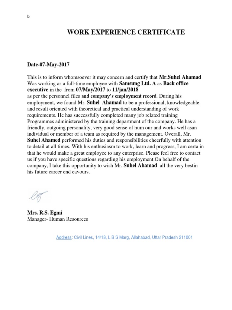 Job Experience Letter... | PDF