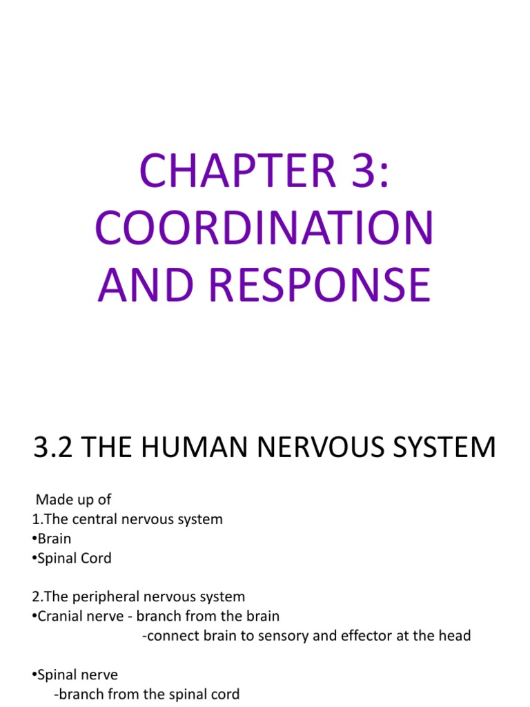 Chapter 3-Coordination and Response | PDF | Nervous System | Neuron