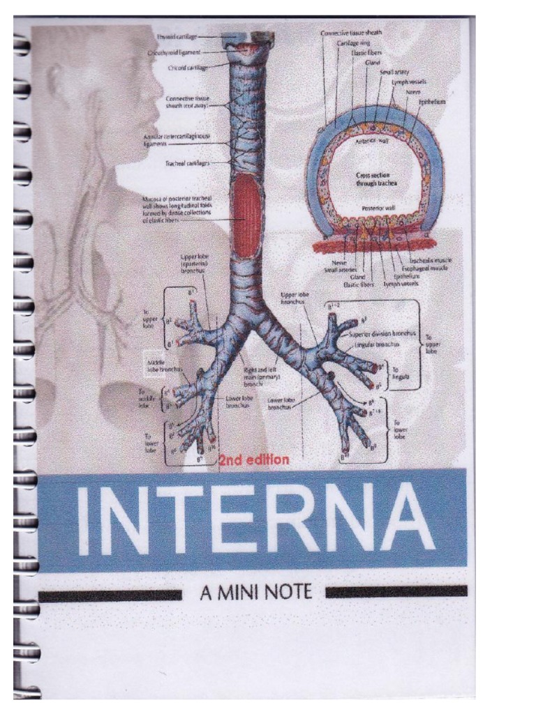 Mini Note Interna 2nd PDF | PDF