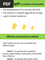 Ross Guide Performance PS | PDF | Nutrients | Methionine