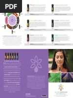 Build Guide Rank Planner doTERRA | PDF | Multi Level Marketing | Mentorship