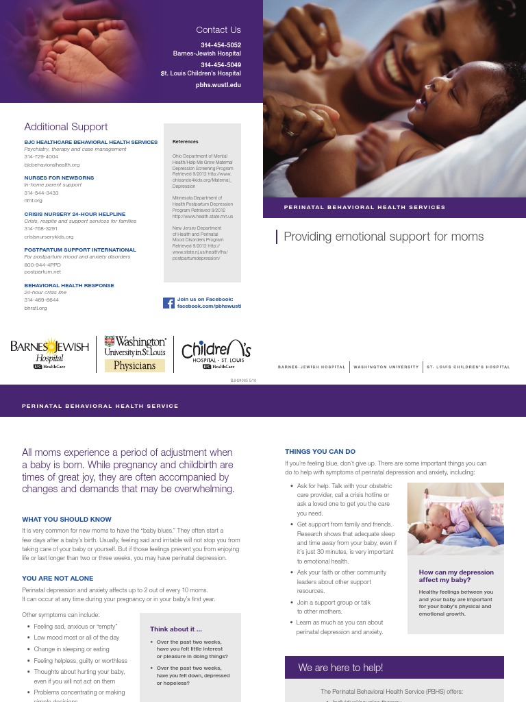 Providing Emotional Support For Moms | PDF | Depression (Mood) | Mental ...