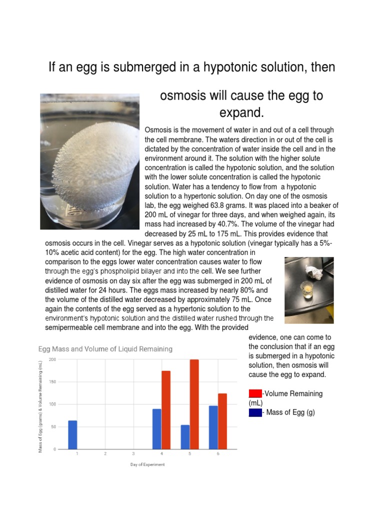 Egg Lab | PDF | Osmosis | Separation Processes