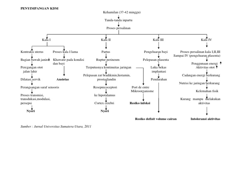 Pathway Persalinan Normal
